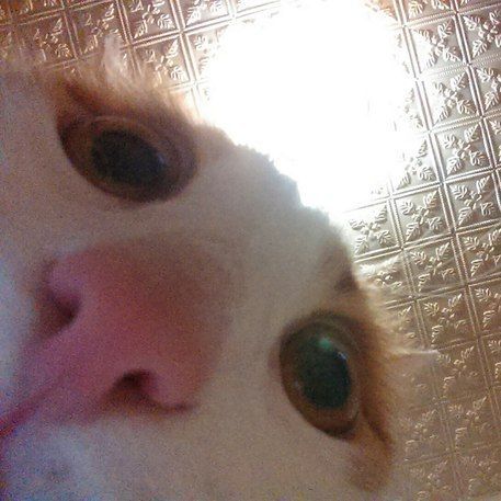 verso-kasper Faceit CS2 Stats - Faceit Tracker