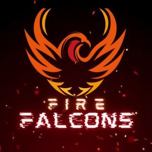 FIRE FALCONS Team - FACEIT.com