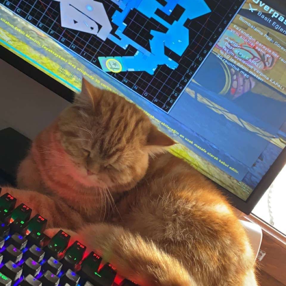 JrTann Faceit CS2 Stats - Faceit Tracker