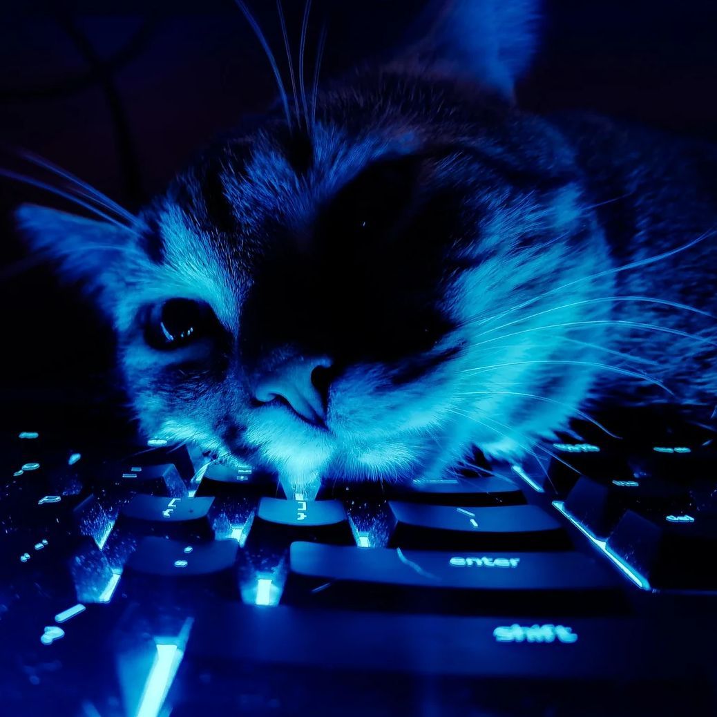 Faceit Analyser | ram