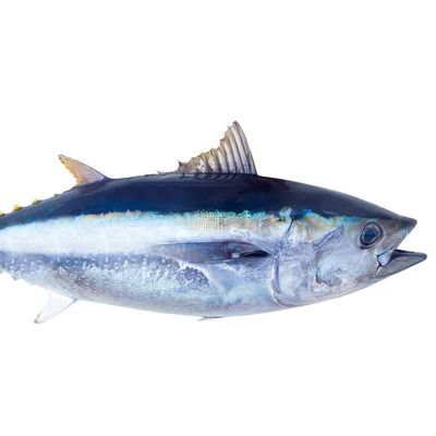 Faceit Analyser | melobaby