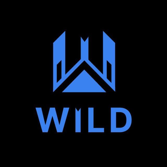 WILD 4 - cs2 Club on FACEIT | Play Together!