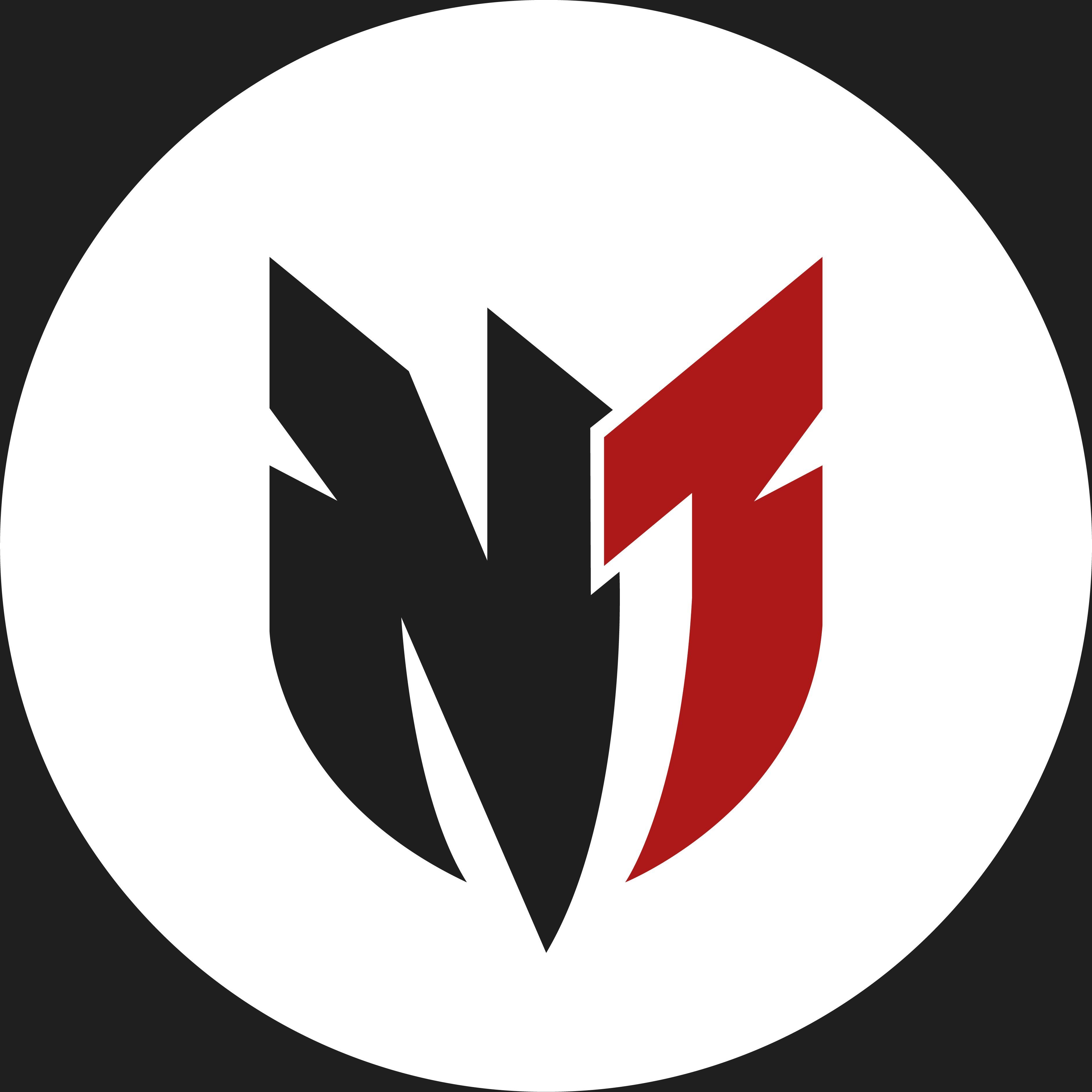 NICE ONE TEAM Team - FACEIT.com